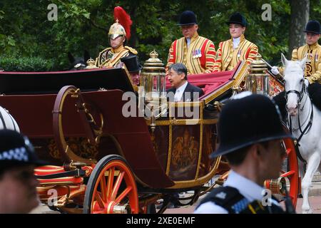 Japanese Emperor Naruhito and Empress Masako arrive at the Royal Palace ...