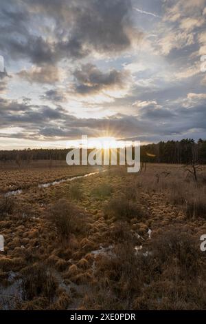 The Dubringer Moor near Wittichenau 2 Stock Photo - Alamy