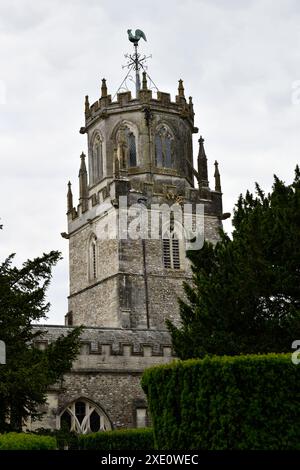 Colyton Church Tower with Octagon Lantern Top East Devon England uk ...