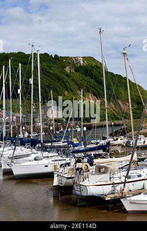 Axmouth Harbour in the Summer Devon England uk Stock Photo - Alamy