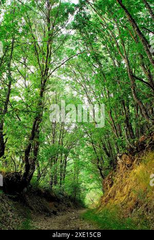 Route to Silver mine of Bustarviejo, Madrid, Spain Stock Photo - Alamy