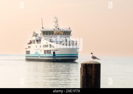 The 'Pelee Islander II' ferry arrives in Leamington, Ont., Canada ...