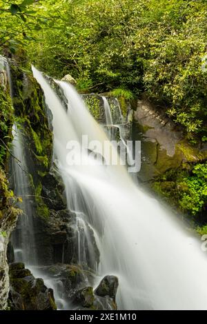 Abrams Falls in the Great Smoky Mountains National Park Stock Photo - Alamy