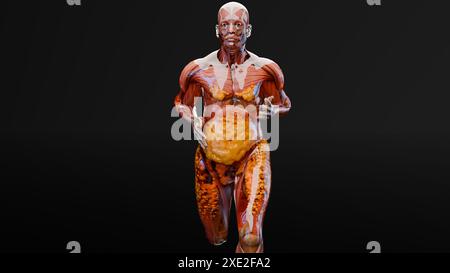 Weight loss Comparison. man body transformation. running jogging for ...