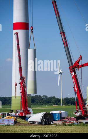 Repowering eines Windpark bei Issum, 9 ältere Windenergieanlagen vom ...