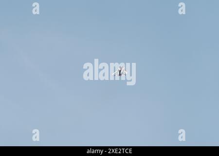 PA-200 Tornado multipurpose combat aircraft Stock Photo - Alamy