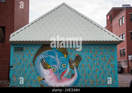 Fish mural on Alma Street in downtown Moncton, New Brunswick, Canada ...