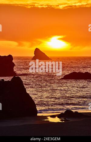 Sunset Silhouette Harris Beach with Rock Formation and Lone Figure ...