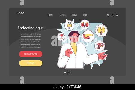 Endocrinology. Endocrine system organs, pancreas thyroid gland ...