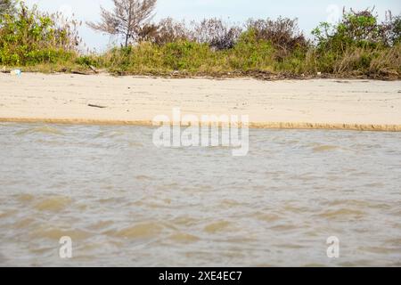River estuaries and beaches that meet each other, brackish water ...