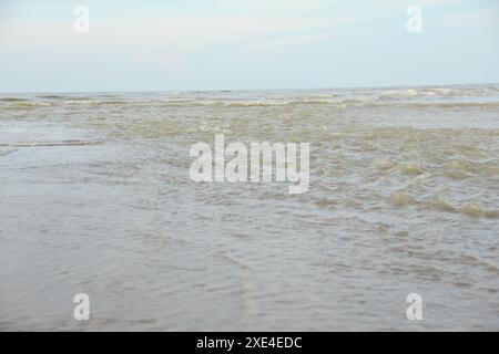 River estuaries and beaches that meet each other, brackish water ...