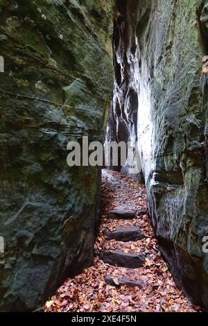 Passage between rocks in the Muellerthal Stock Photo - Alamy