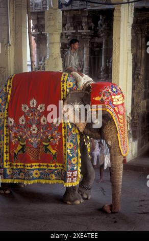 a Hindu Elephant ceremony at the Meenakshi Amman Temple in the city of ...