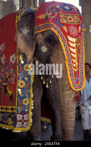 a Hindu Elephant ceremony at the Meenakshi Amman Temple in the city of ...