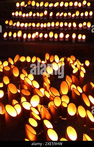 Lanterns in bamboo tubes Stock Photo - Alamy
