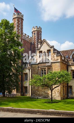 Newton's Apple Tree which grows outside the entrance to Trinity College ...