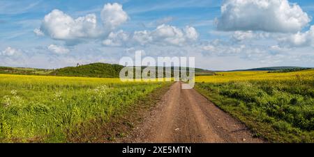 Spring countryside view with dirty road, rapeseed yellow blooming ...
