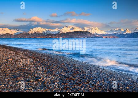 Evening evening light evening mood eagle Alaska America Bald Eagle ...