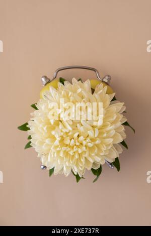 Flower clock in its spring design in Geneva, Switzerland Stock Photo ...