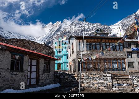 Colorful houses of Langtang valley, Himalayas, Nepal, Asia Stock Photo ...