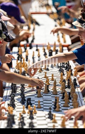 Schachturnier Alsterufer-Schachturnier für Schulklassen am 26. Juni ...