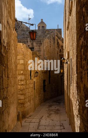 Typical yellow-ochre limestone buildings in the old town of Mdina in ...