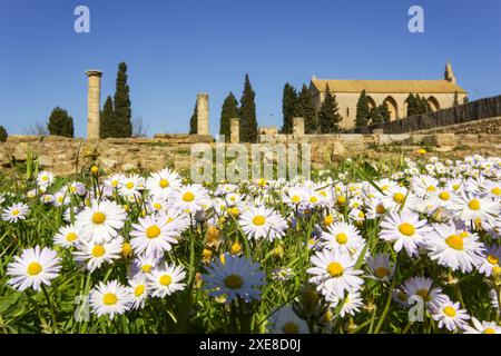 Roman archaeological site Pollentia Stock Photo - Alamy
