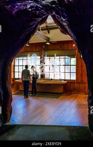 Visitors explore Giant Forest Museum; Sequoia National Park; California ...