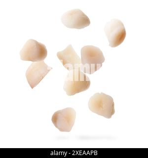 Many fresh scallops falling on white background Stock Photo - Alamy