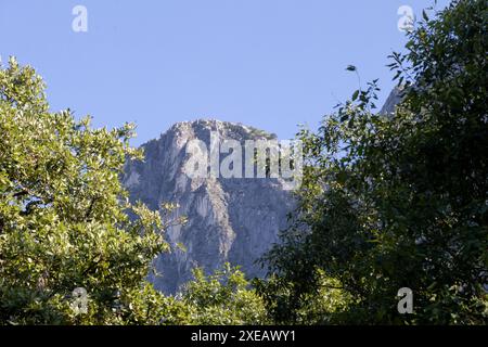 Landscape of the highest mountain in Monterrey, called Chipinque. It is ...