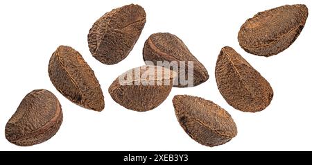 Brazil nuts in shell isolated on white background Stock Photo - Alamy