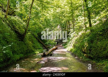 Hiking in the Dragon Gorge Thuringia Eisenach Stock Photo - Alamy