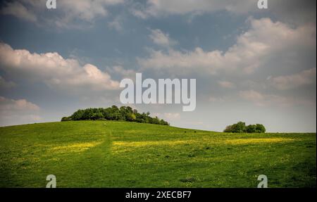 The enigmatic Wittenham Clumps chalk hills in Oxfordshire, UK Stock ...