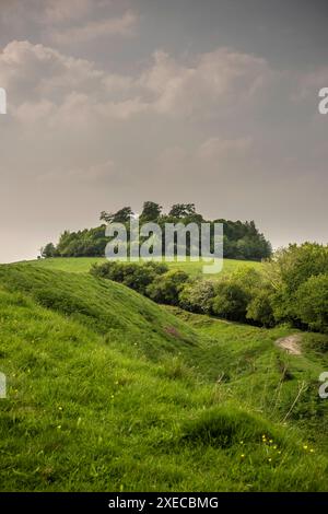 The enigmatic Wittenham Clumps chalk hills in Oxfordshire, UK Stock ...