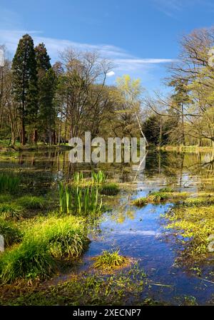 Castle park of Paffendorf Castle, Germany, North Rhine-Westphalia ...