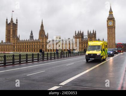 London, UK. 3rd January 2023. Humboldt Penguins are counted during the ...