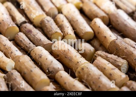 Steamed Huai Shan or Chinese yam are roots that are used in chinese ...