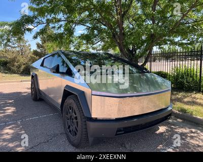Tesla Cybertruck Parked Under Trees on a Sunny Day Stock Photo - Alamy