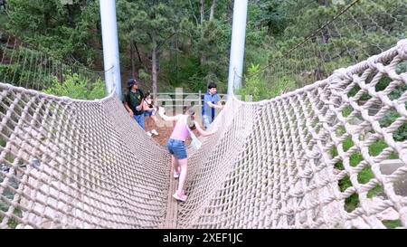 Kids Crossing Rope Bridge at Zoo Adventure Park Stock Photo - Alamy