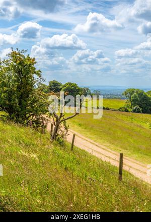 Beautiful outdoors scenic views at Waseley Hills Country Park near ...