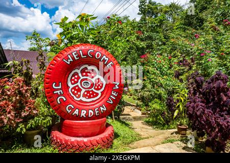 Colorfully sign advertising Rafflesia flower bloom in their garden ...