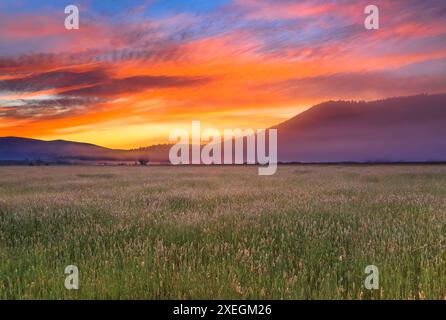sunrise over a hay meadow near avon, montana Stock Photo - Alamy