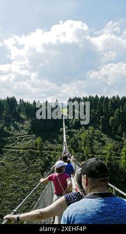 Geierlay suspension rope bridge Stock Photo - Alamy