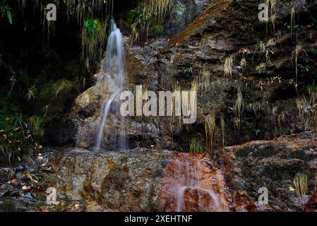Fonte do Cervo. Devesa da Rogueira, Folgoso do Courel, Lugo, Spain ...