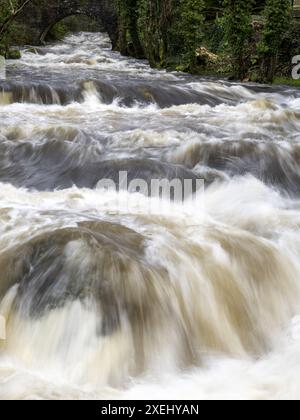 River Erme at Ivybridge, Devon, UK Stock Photo - Alamy