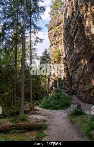 Panoramic view of magical colorful fairytale forest at Tierra del Fuego ...