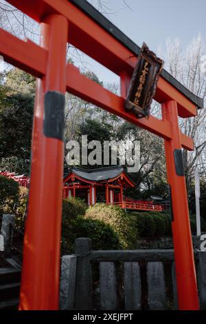 Vibrant Red Torii Gate at Tokyo Shrine Stock Photo - Alamy