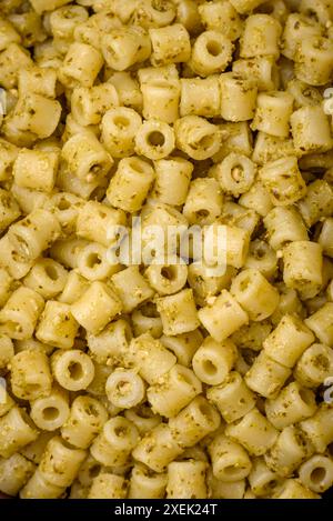 Delicious ditali pasta from durum wheat with salt and spices Stock ...