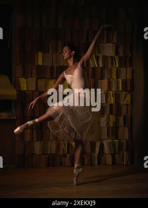 pose, ballet dancer, dancer, poses, ballet dancers, dancers Stock Photo ...