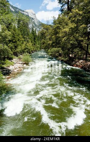 Fast-flowing Merced River, Yosemite National Park, CA. Water cascades ...